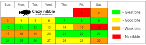 Fishing Calendar For November 2024 - Best Fishing Days
